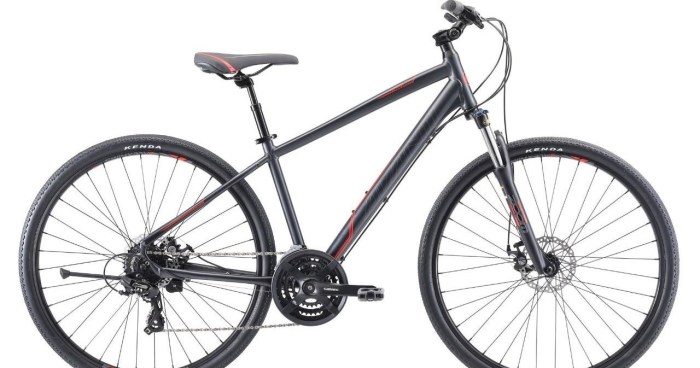Trail Bike Rentals in Napier | Napier City Bike Hire & Tours