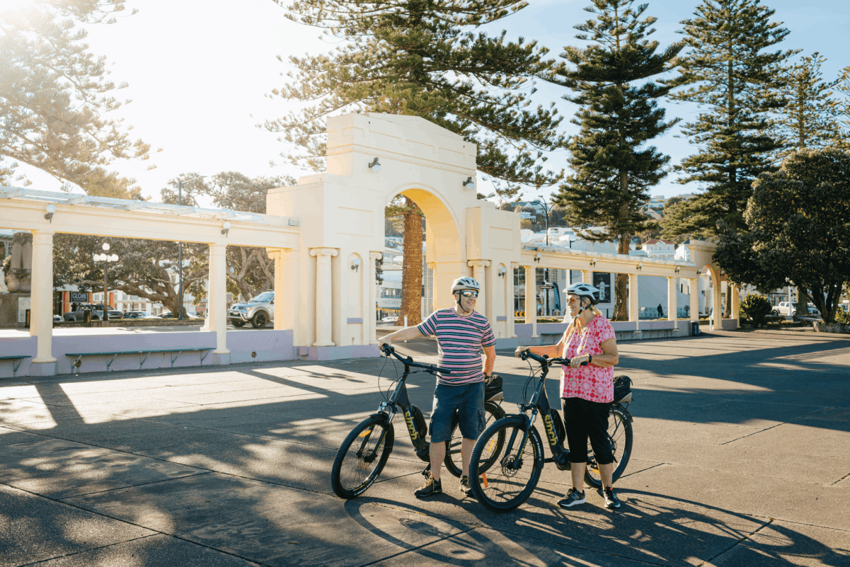 Napier Cruise Ship Cycle Tour | Napier City Bike Hire & Tours