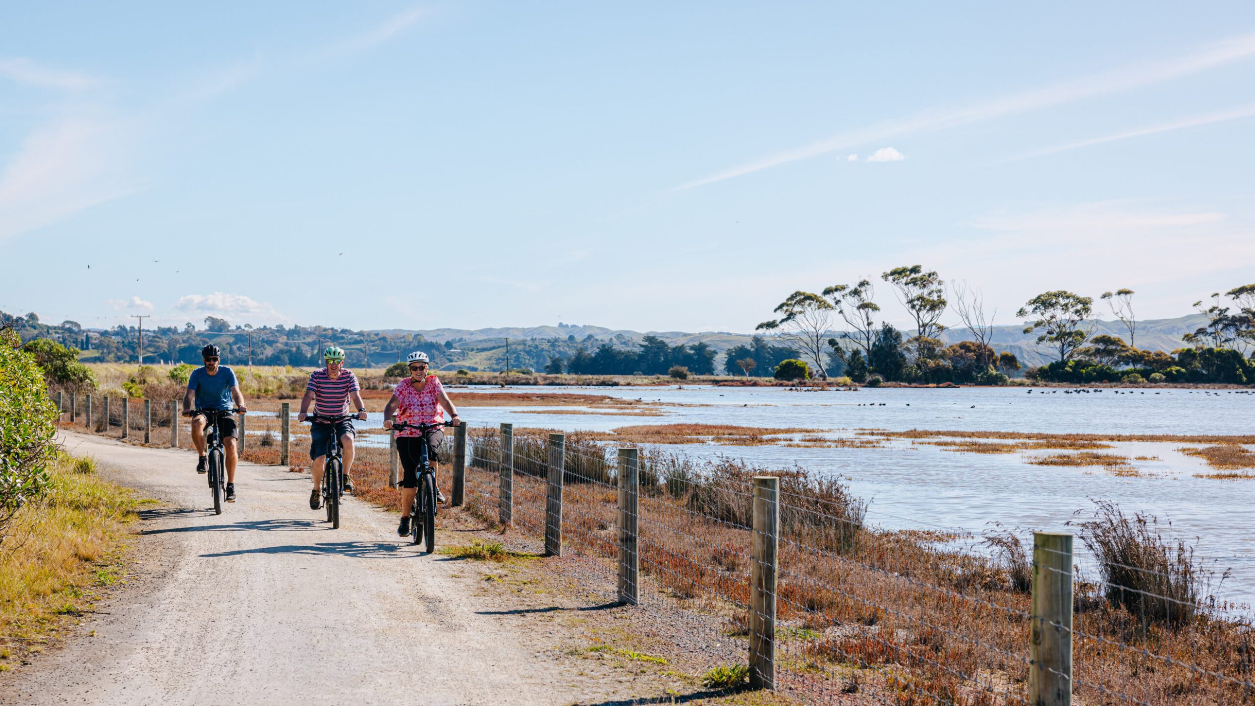 Napier City Bike Hire & Tours | E bike & Bike rental Hawke's Bay